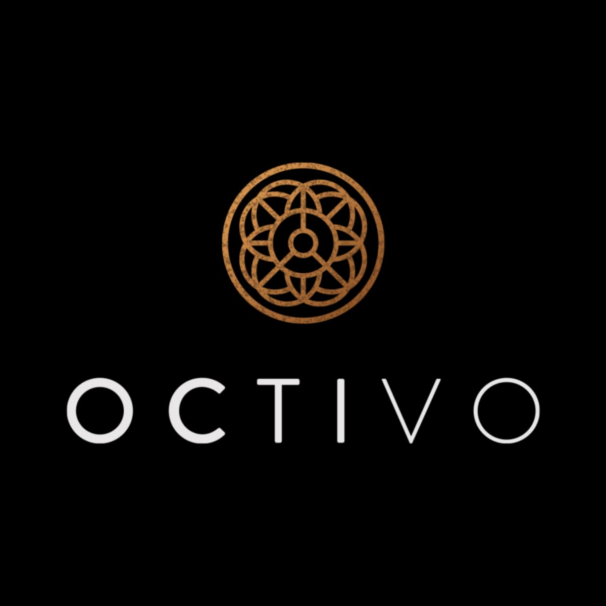 Our Story - International Digital Learning Provider - Octivo