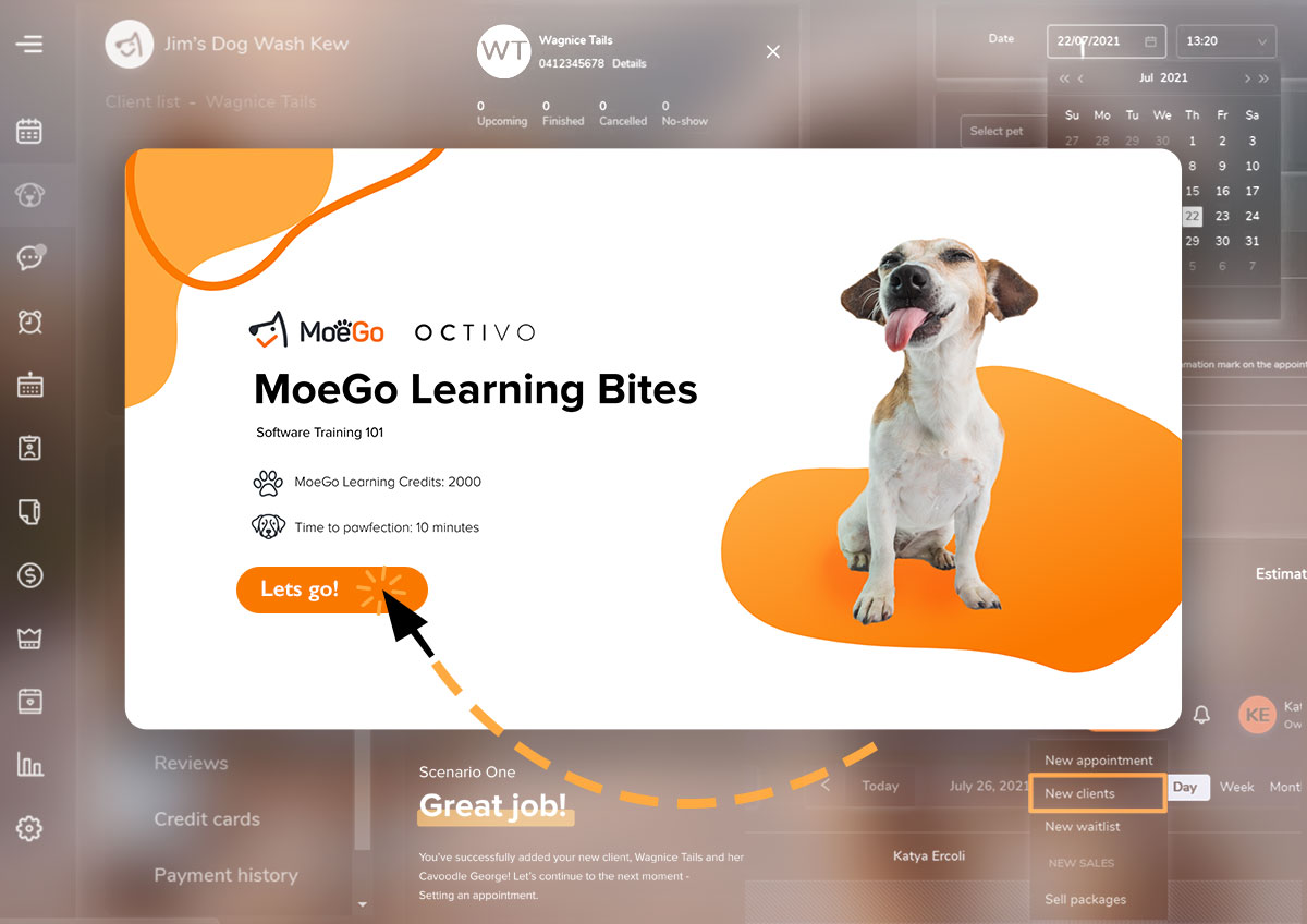 MoeGo - Learning Bites - Octivo